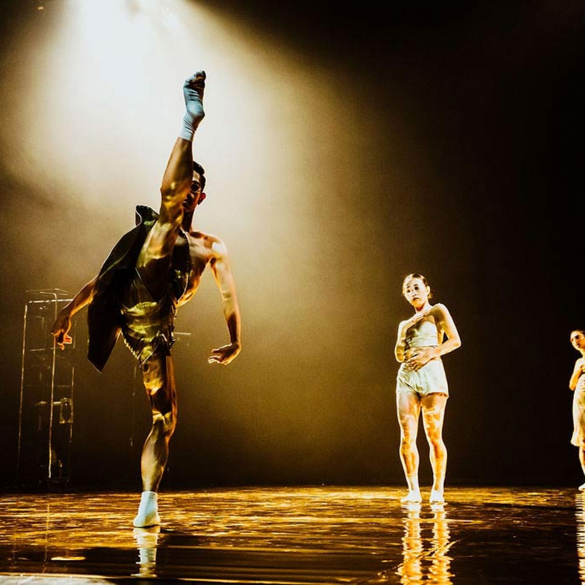 AURA Dance Theatre is Looking for Male and Female Dancers for the ...